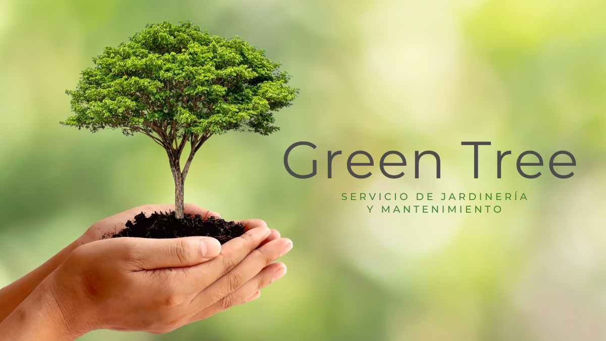 Servicio de jardinería | Dale vida a lo simple | Green Tree